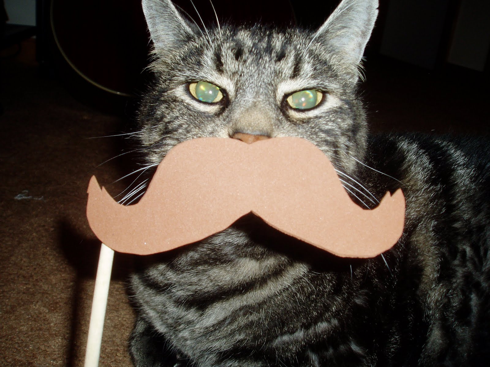 Andrew's Craft Corner: Foam Mustaches