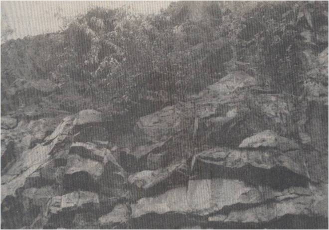 Pagar Museh: KULIAH 8 - LULUHAWA