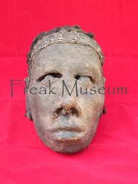Freak Museum A Private Collection: Skulls