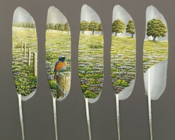 A eterna busca...: A pintura em penas de pássaros