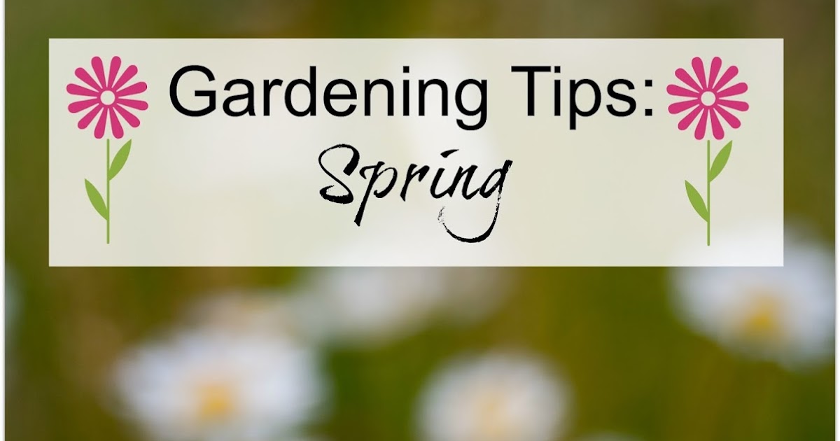 Gardening Tips for Spring. | The Parent Game