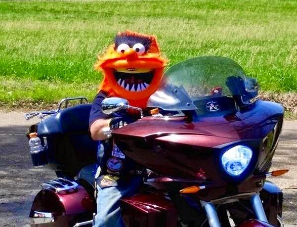 Motorcycle Helmets: Animal Helmet Cover