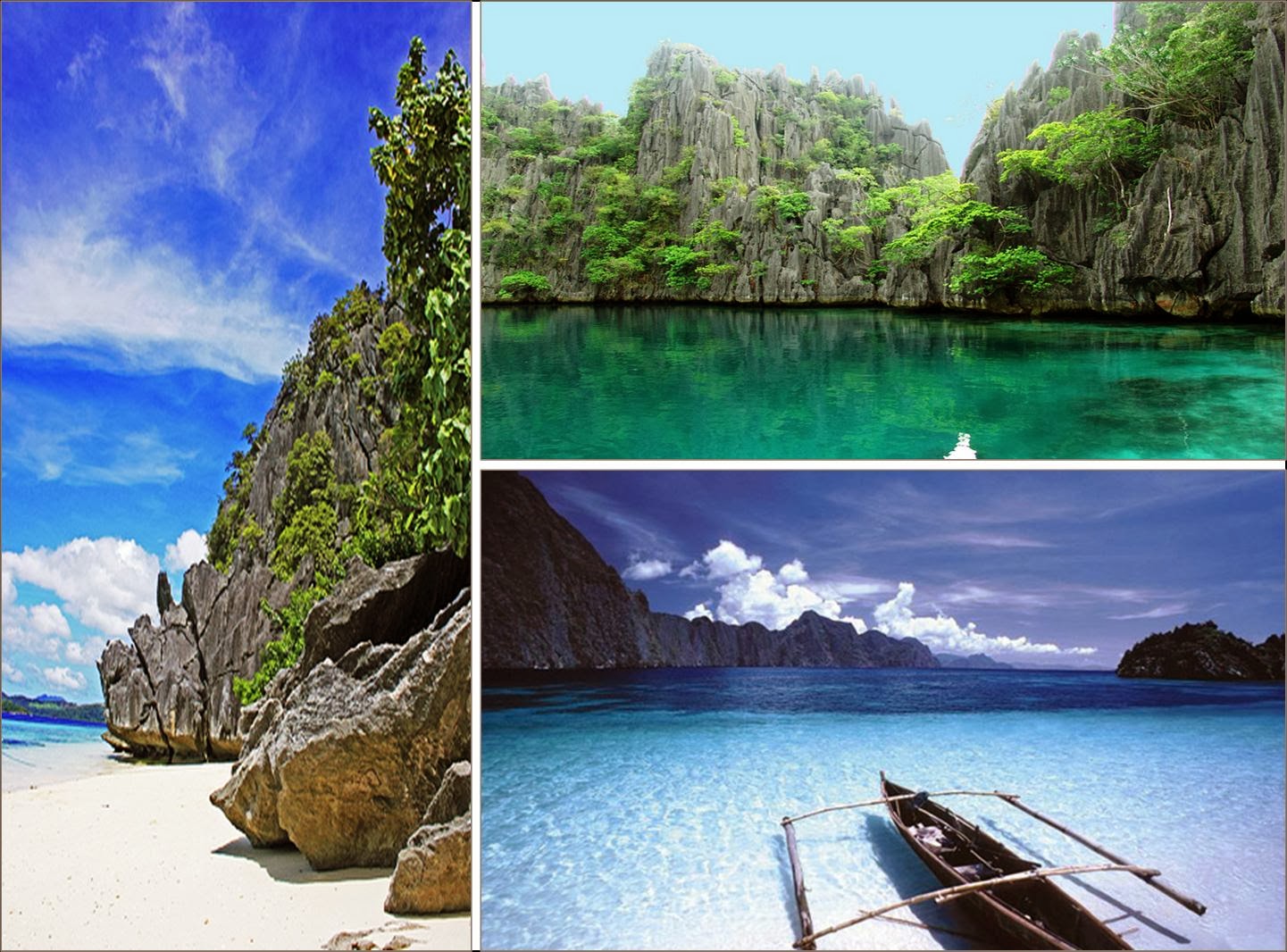 THE GREAT PALAWAN