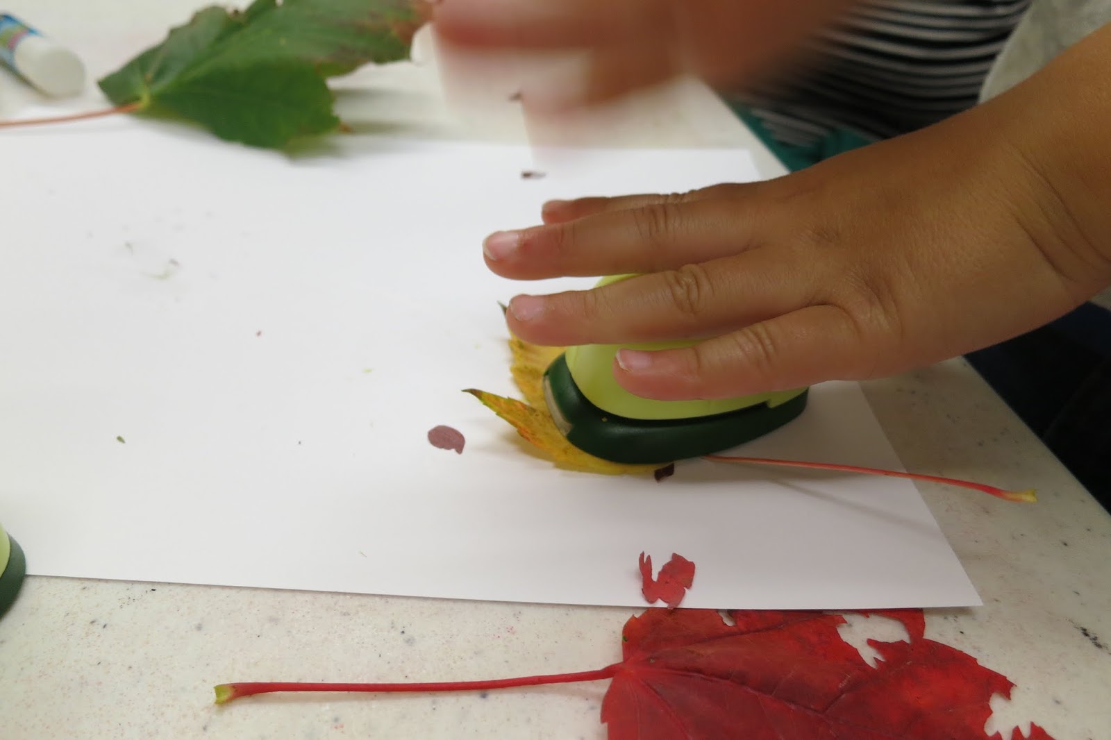 Toddler Art Class: Leaf Punching : library makers