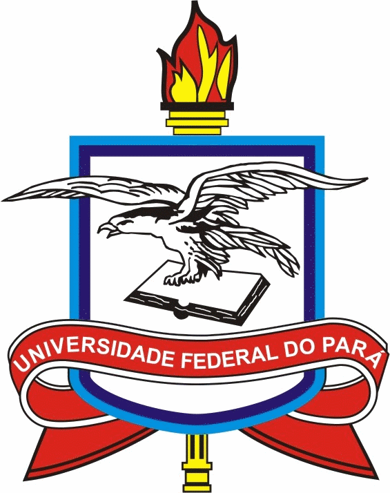 Originalizando!!!: Saiu Edital: UFPA!!!