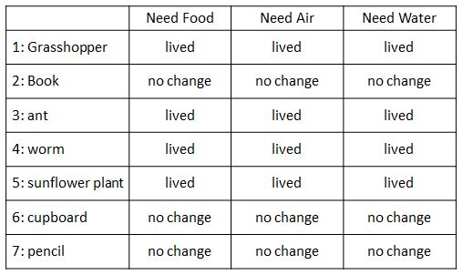 P3 Science: Activity Book