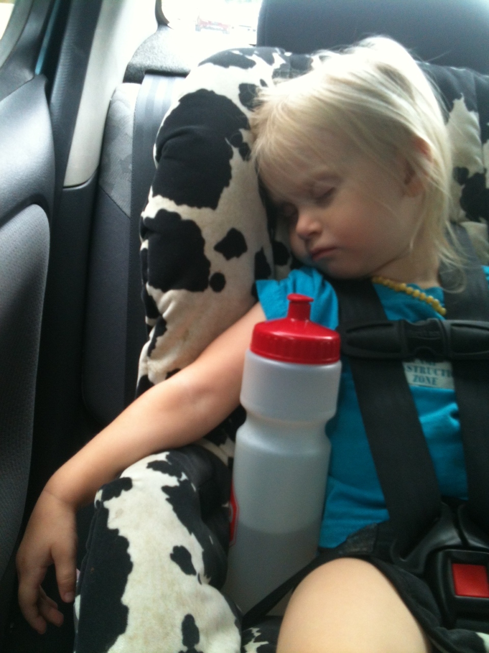 A New Day: August 2012