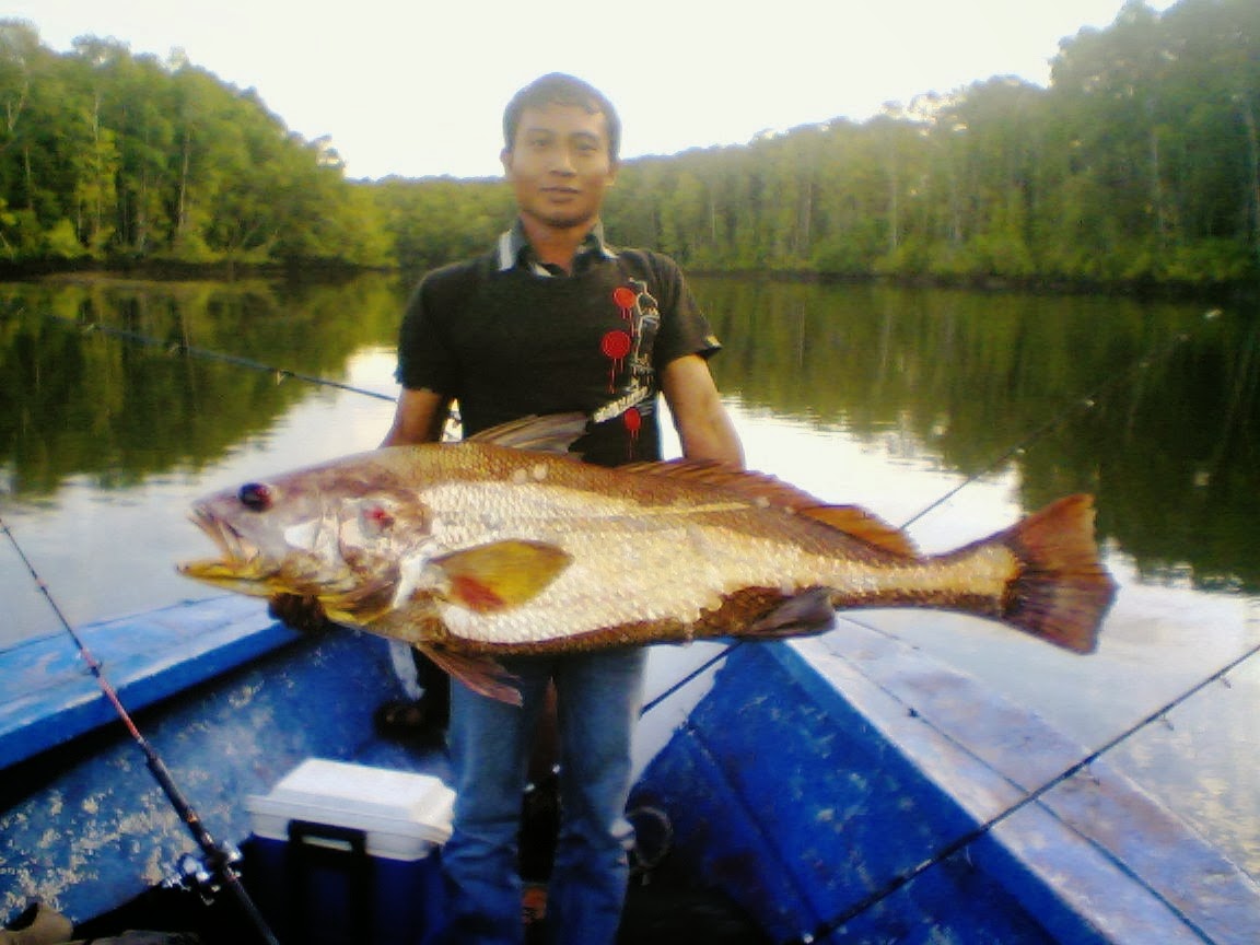 Timika Fishing Tour: Paket Wisata Mancing Di Timika