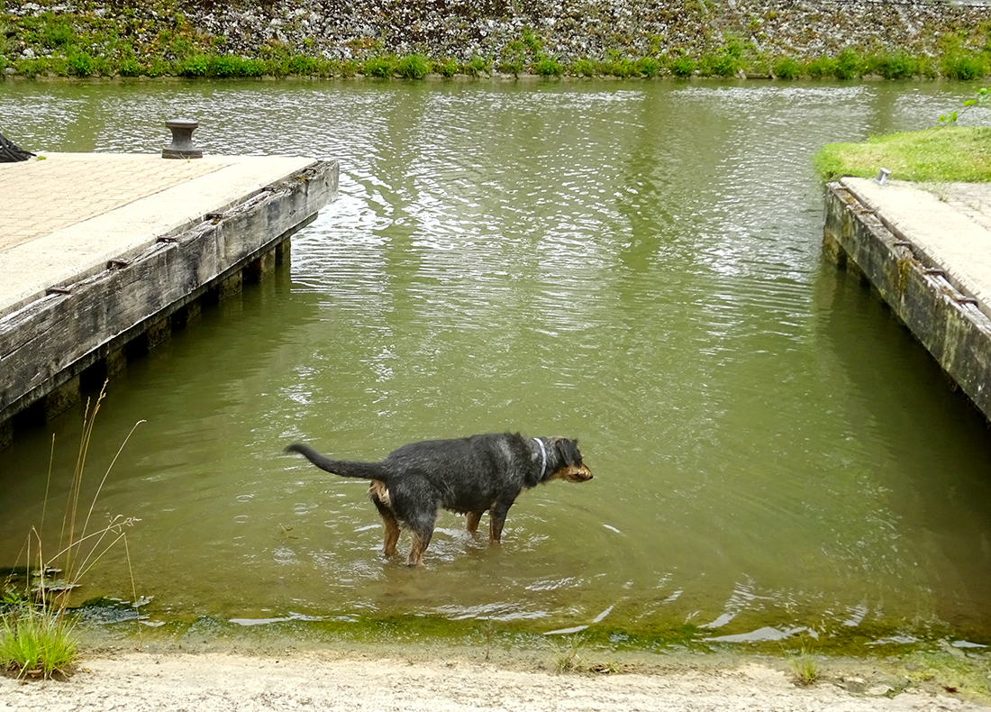 OnboardPlan B: Canal de Briare 2