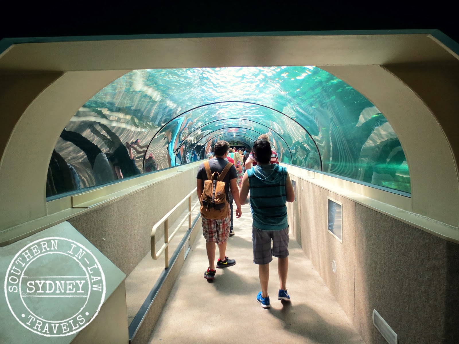 Southern In Law: SIL in Sydney: Sydney SEA LIFE
