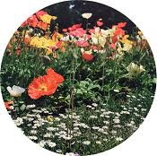 Inspirafashion: Priscilla, Queen of the Desert: SHN Broadway Show Recap