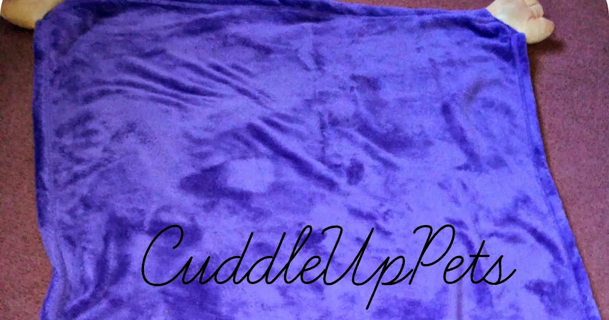 Life Unexpected: The Purple Monkey CuddleUpPet Review