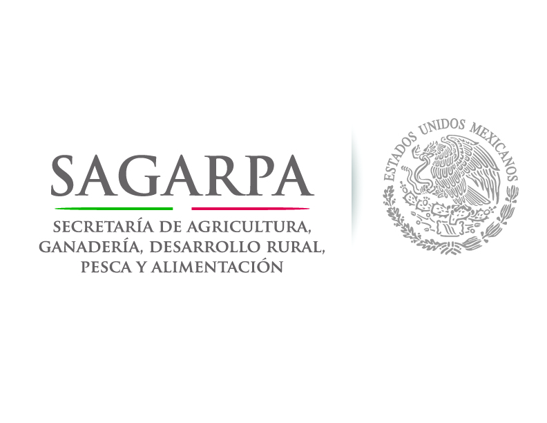 SAGARPA: Publica SAGARPA Reglas de Operación para sus programas y ...