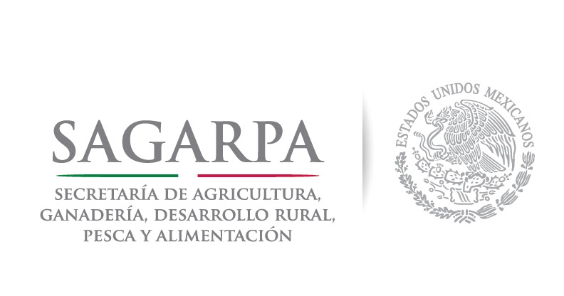 SAGARPA: Publica SAGARPA Reglas de Operación para sus programas y ...