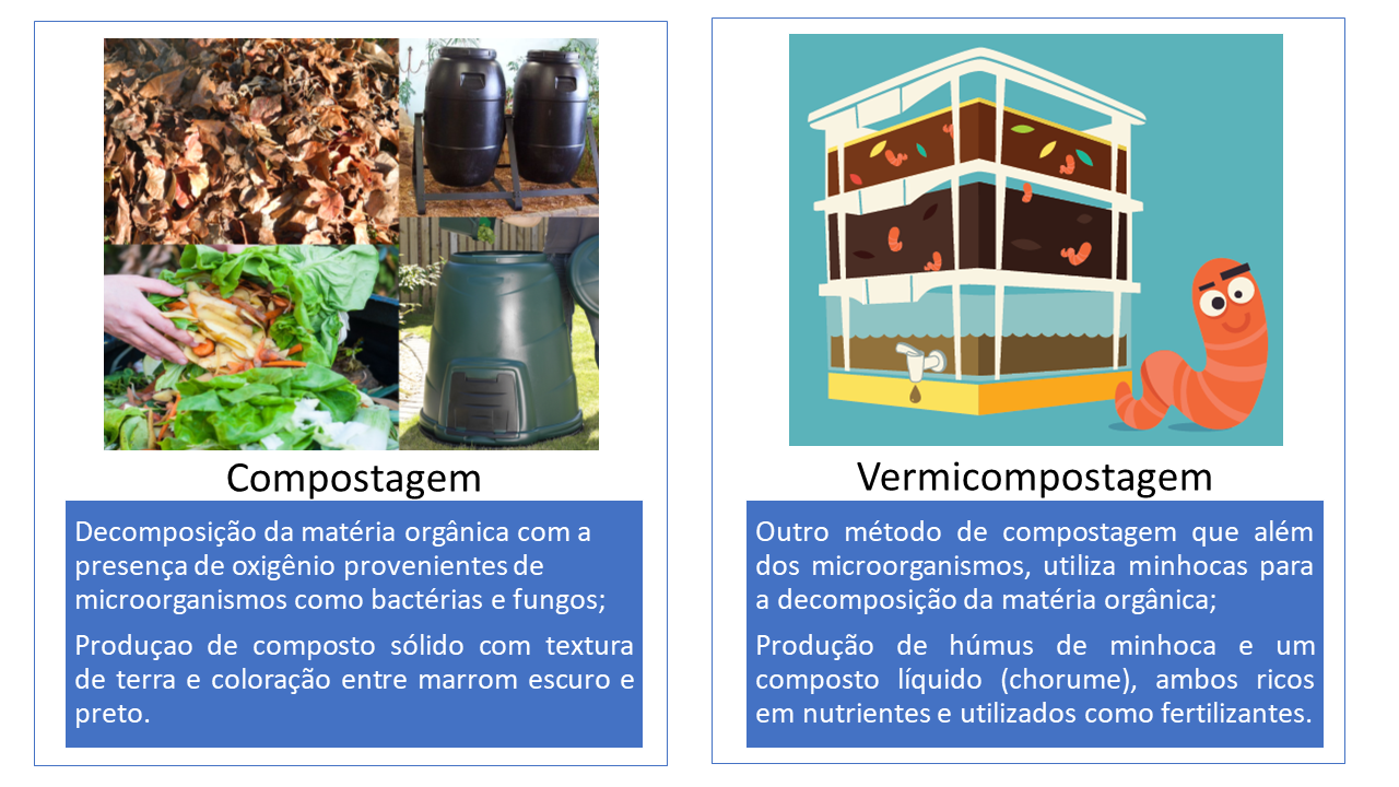 Sustentabilidade e Compostagem
