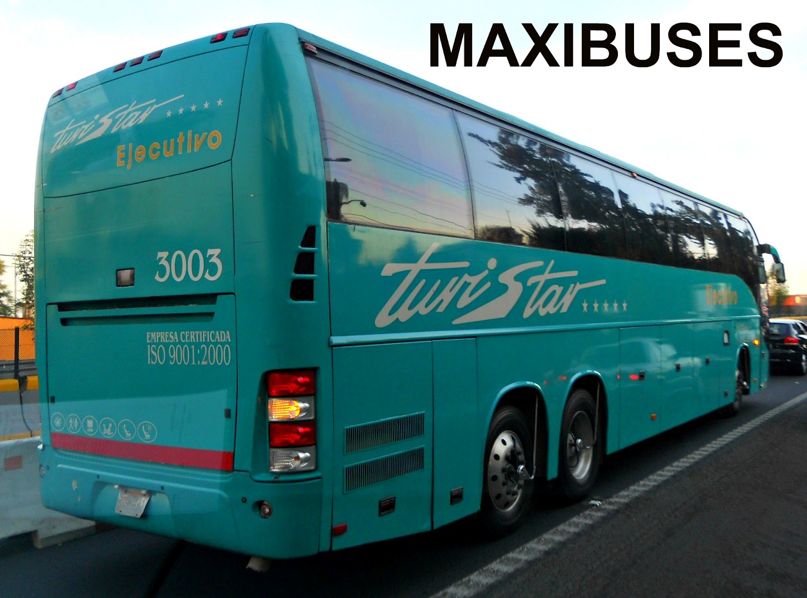 MAXIBUSES: TURISTAR EJECUTIVO