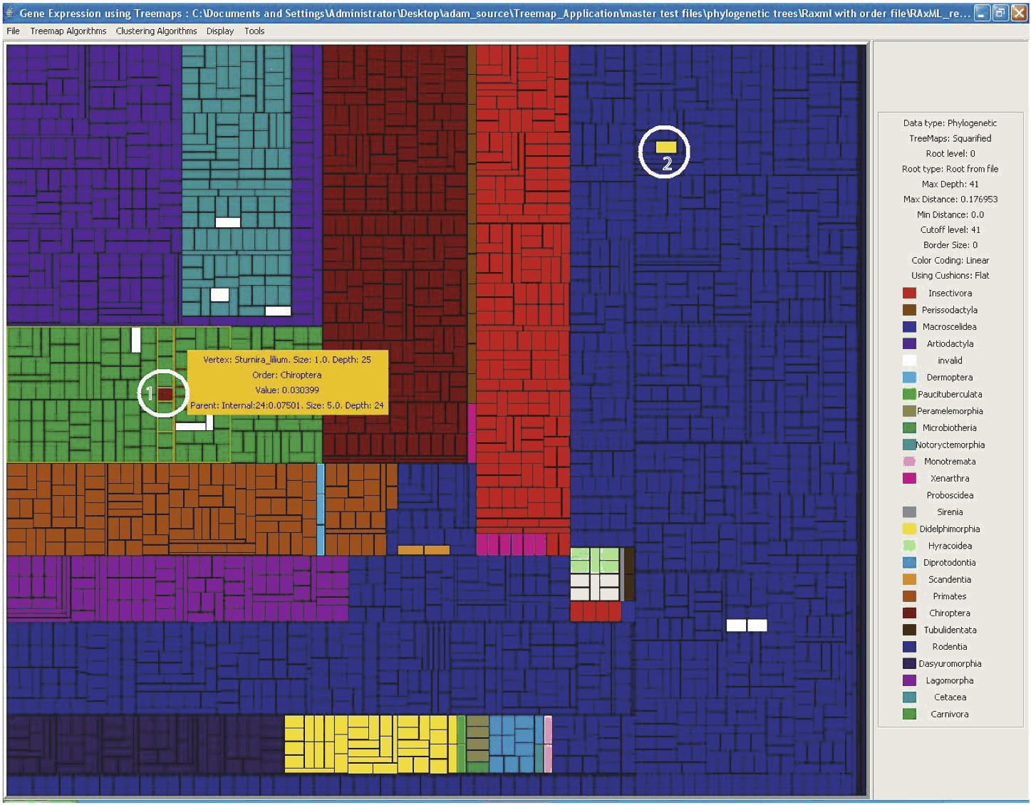 The Genealogical World of Phylogenetic Networks: Trees, treemaps and ...