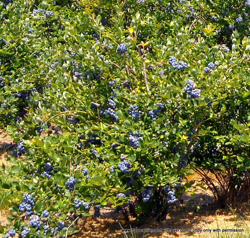 Have Retirement. Will Travel.: Corvallis and Oregon State University