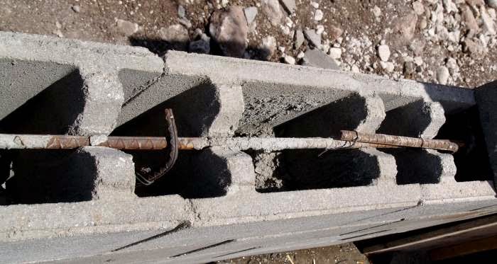 Dispatches: The Best Exotic Tijuana Posada: The Mighty Haener