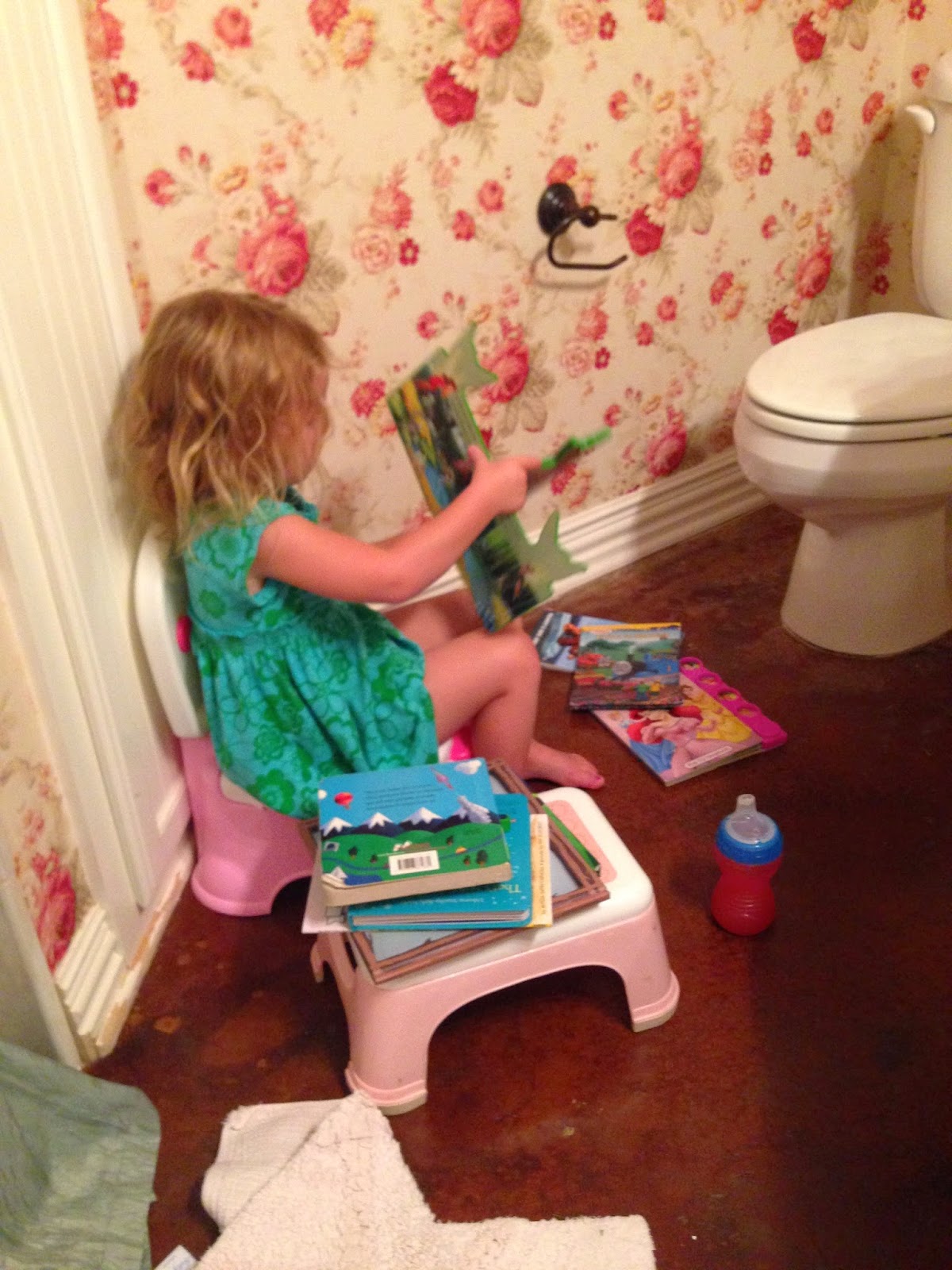 The Lee Family Potty Training Begins the-lee-family-potty-training-begins