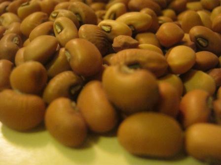 Easy Cook: Olan/ Red cowpea beans curry.