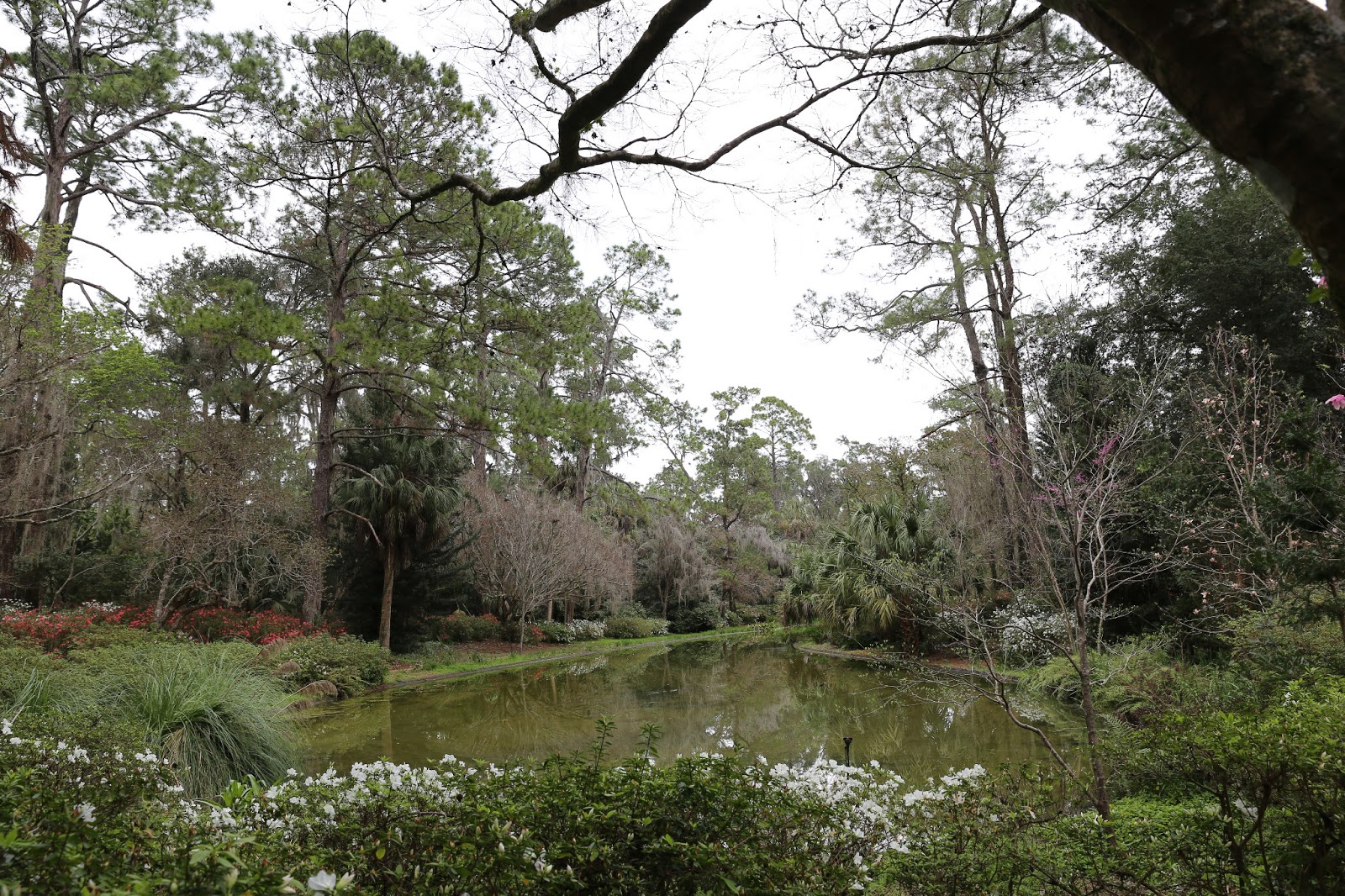 Sweet Southern Days: Maclay Gardens in Tallahassee, Florida
