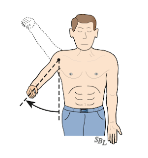 UW Shoulder and Elbow Academy: Shoulder arthritis - how stiff is the ...