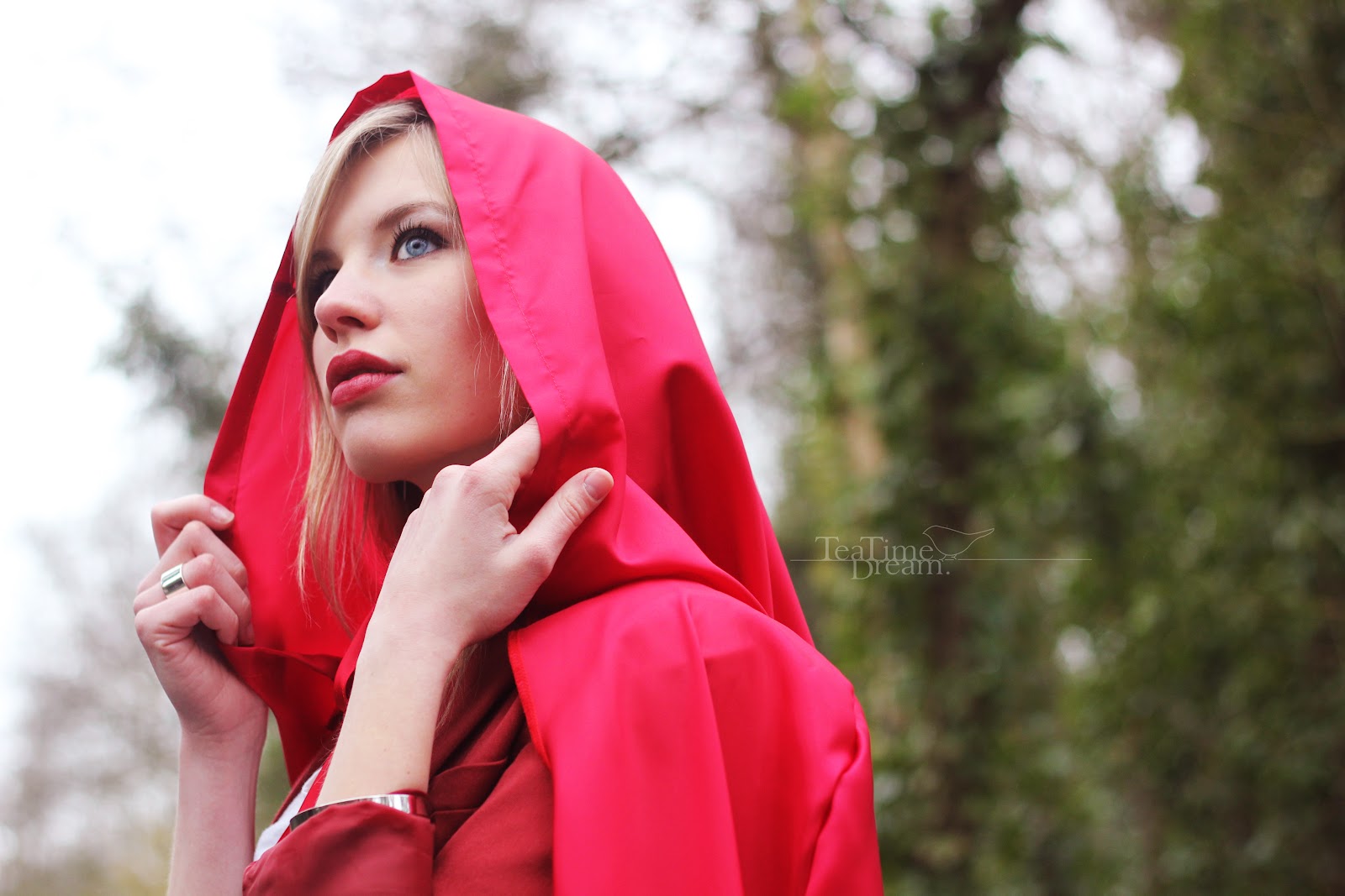 Tea Time Dream: Red Riding Hood