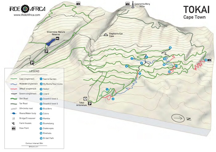 Nor'Easter Backcountry: Beyond the Northeast: Tokai Forest, Cape Town ...