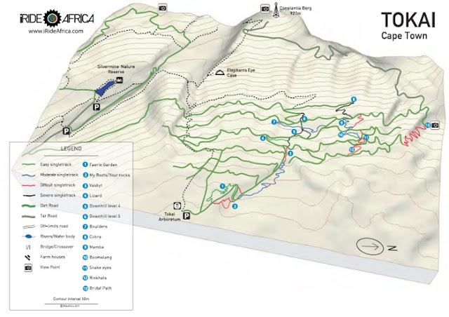 Nor'Easter Backcountry: Beyond the Northeast: Tokai Forest, Cape Town ...