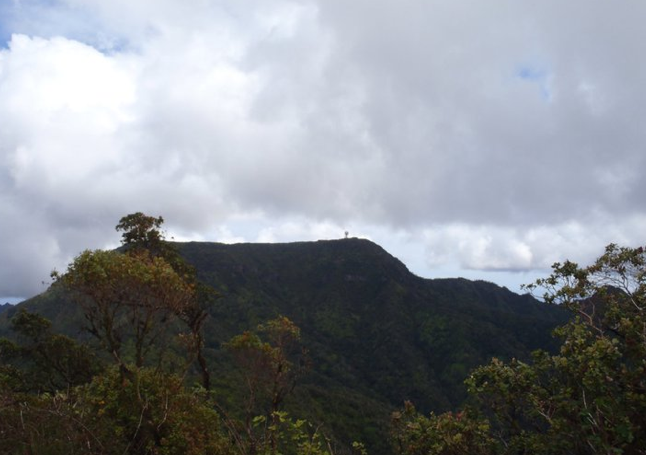Kalena, Ka'ala, Kamaohanui -- Jeremy Kreis