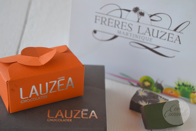 Coco Cannelle: Les frères Lauzéa