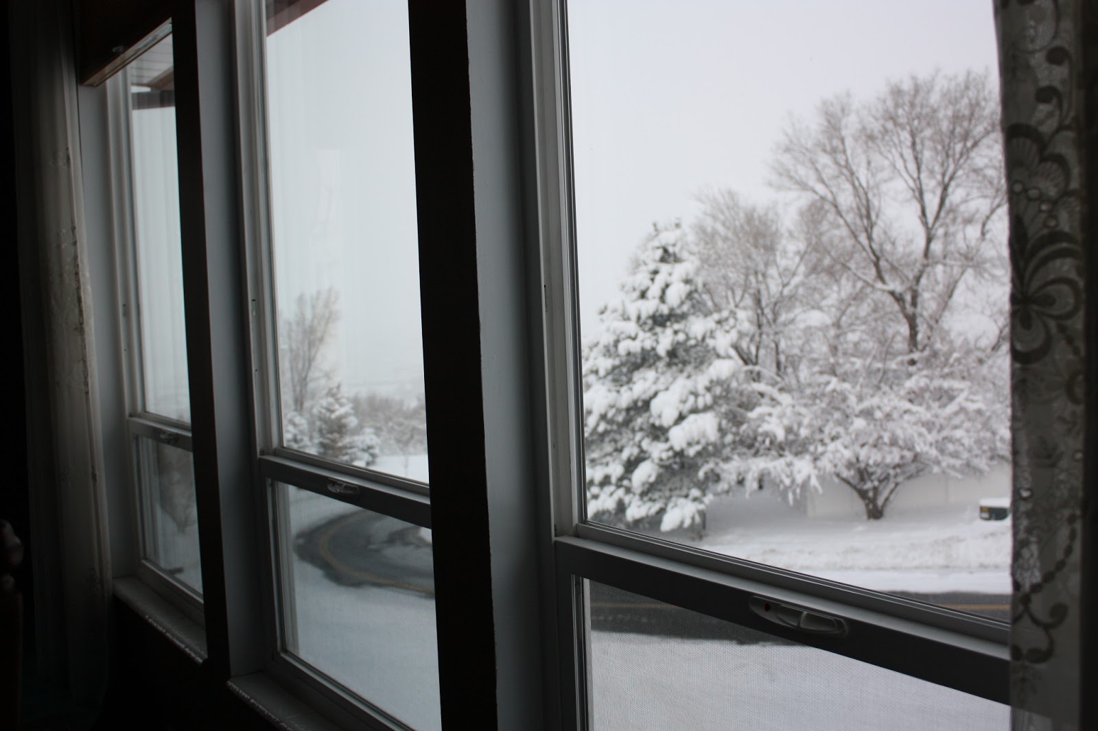 My So-Called Life: Utah Snowstorm, January 2013, from Indoors