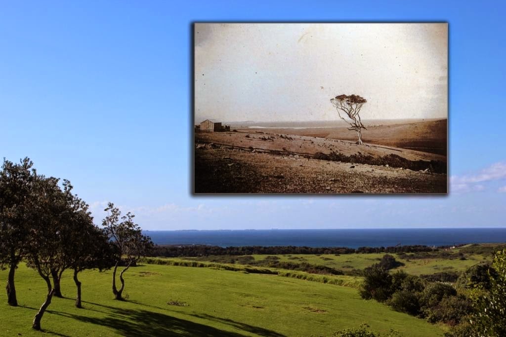Shellharbour's Local History Blog: Killalea - Now and Then