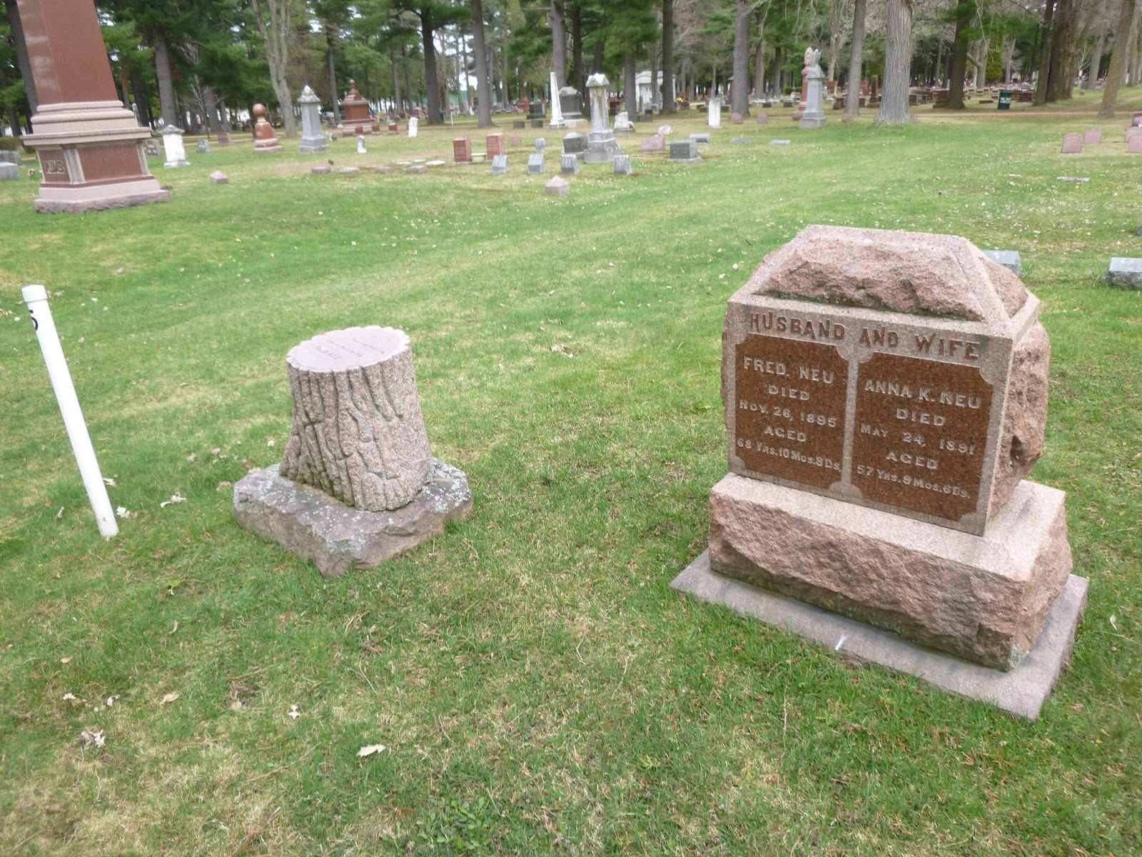 Detritus of Empire: A Tree Shaped Tombstone....for a Tree?