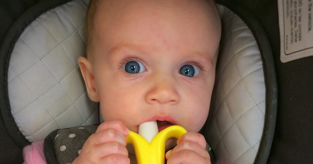 the cozy birdhouse: chompers