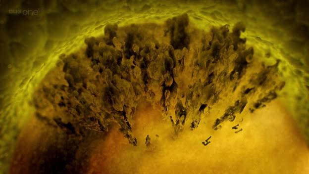 Blores.com: Inside The Human Body :: Documentary Review