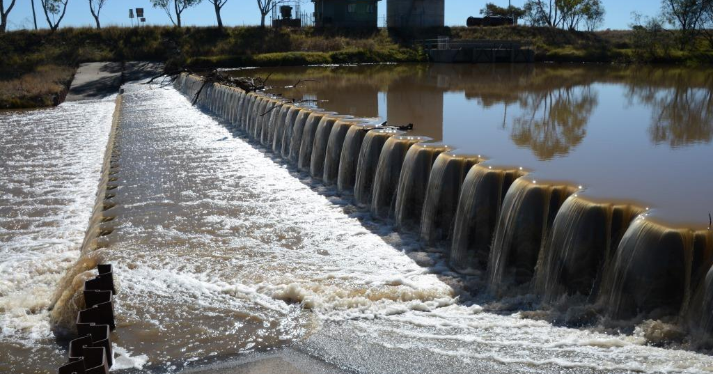 Toowoomba Field Naturalists: OUTING REPORT - Sunday 03 July, 2016 to ...
