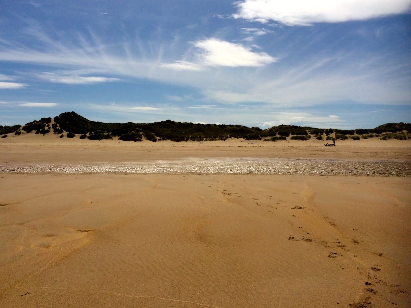 Days out in the Borders : Cheswick Sands