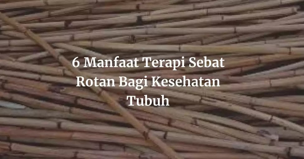 6 Manfaat Terapi Sebat Rotan Bagi Kesehatan Tubuh - Terapi Jarum