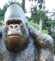 The Jozi WAHM's Guide to Everything: Fun at the Jo'burg Zoo with the So ...