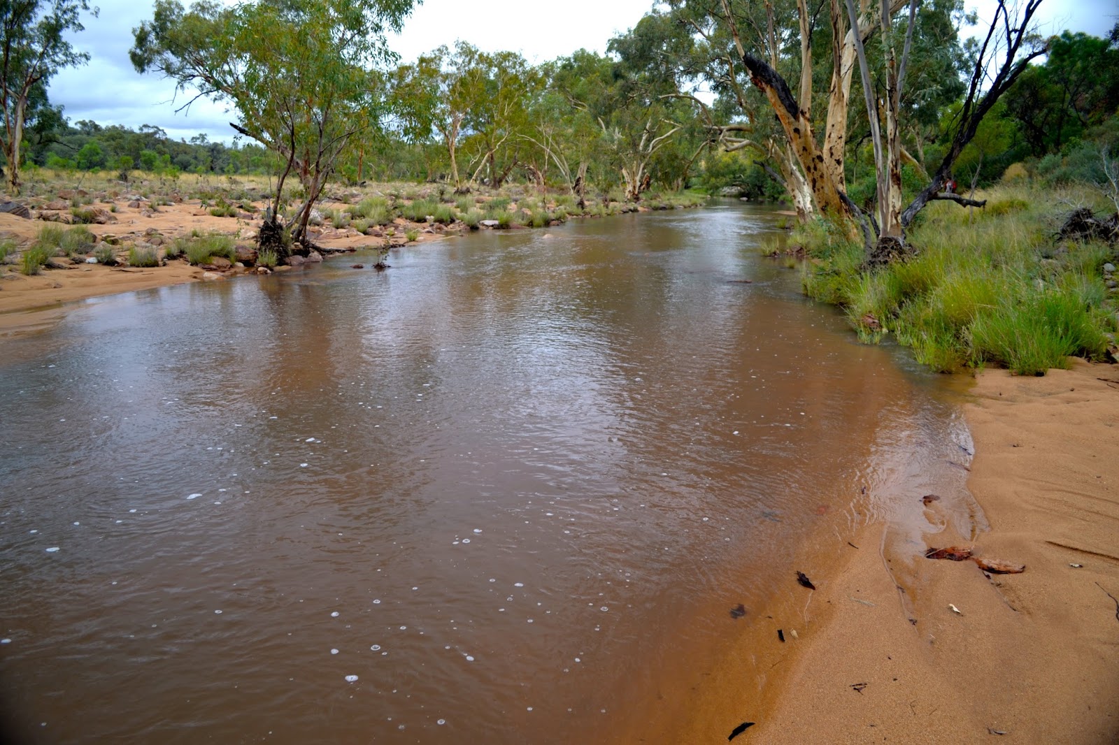 Goin' Feral One Day At A Time: Redbank Gorge, Western MacDonnell ...