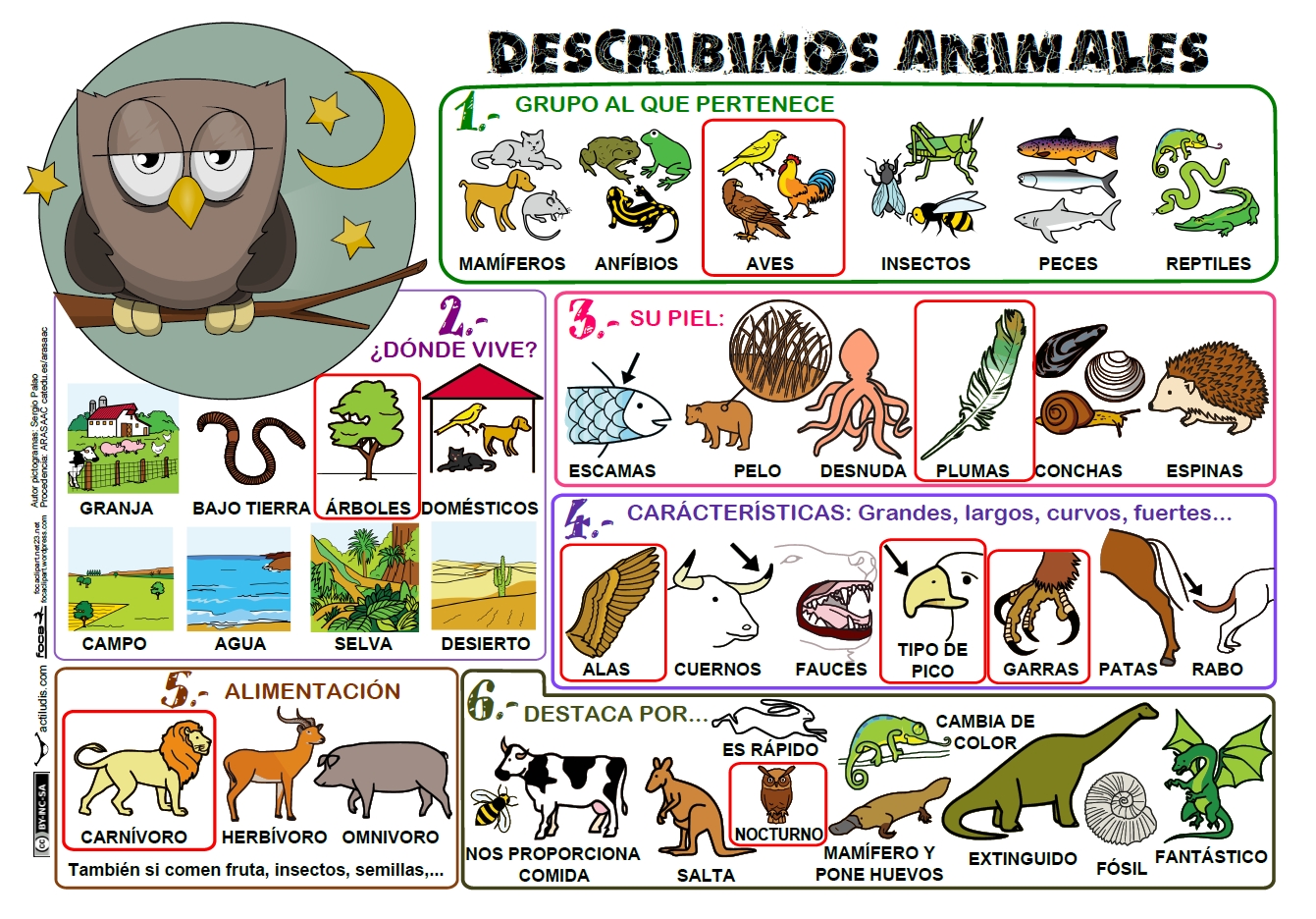 Curso de Español del Colegio Ziv - Jerusalén, Israel: ¿Cómo describimos ...