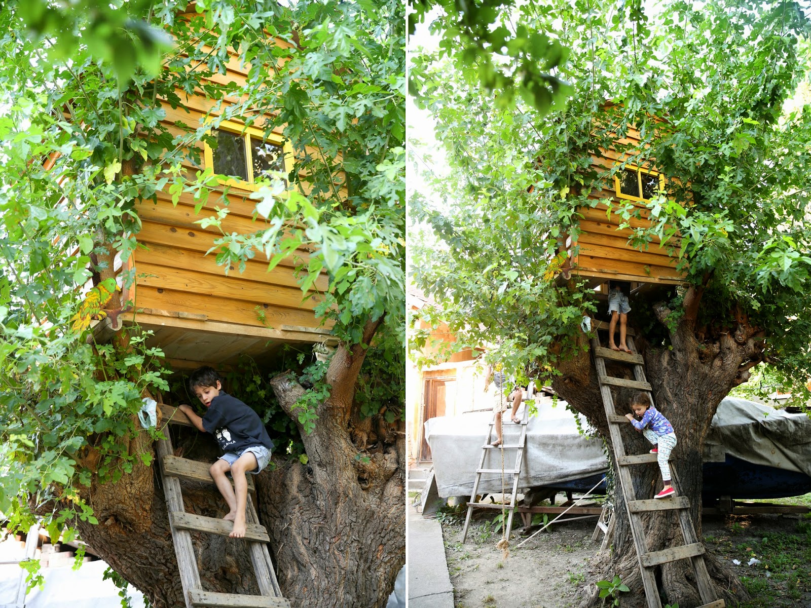 My Lovely Mess: Our tree house, and how we built it.
