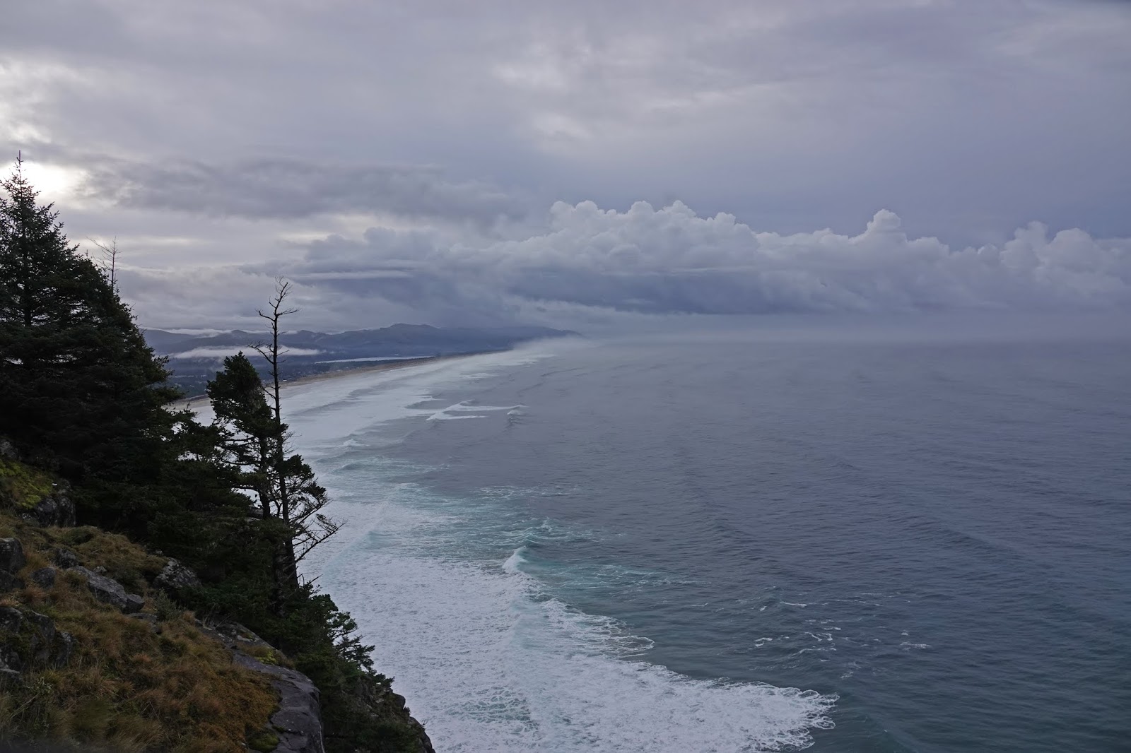 Cannon Beach Birder: Nehalem Bay State Park