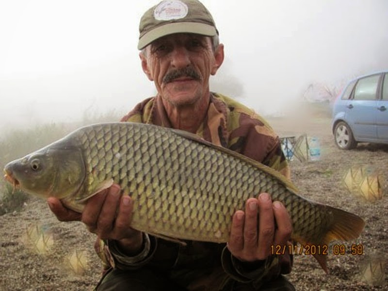 OLTADASAZAN: sazan büyüme süreci