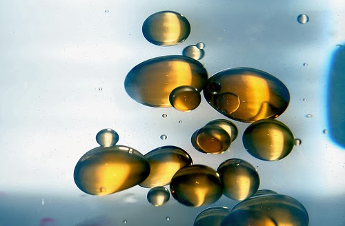 Scienceaholic: Hidrofílicos, hidrofóbicos y diferencia de densidades ...