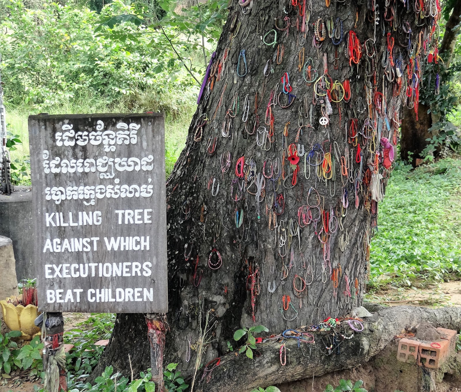 sunshinecoastbirds: Killing Fields of Cambodia