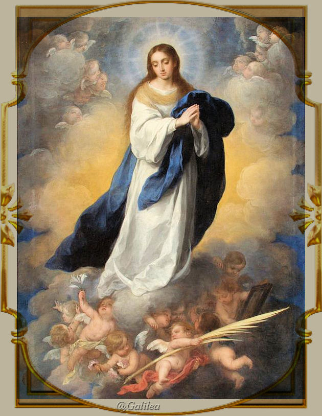 ® Blog Católico Gotitas Espirituales ®: ORACIÓN A LA INMACULADA VIRGEN ...