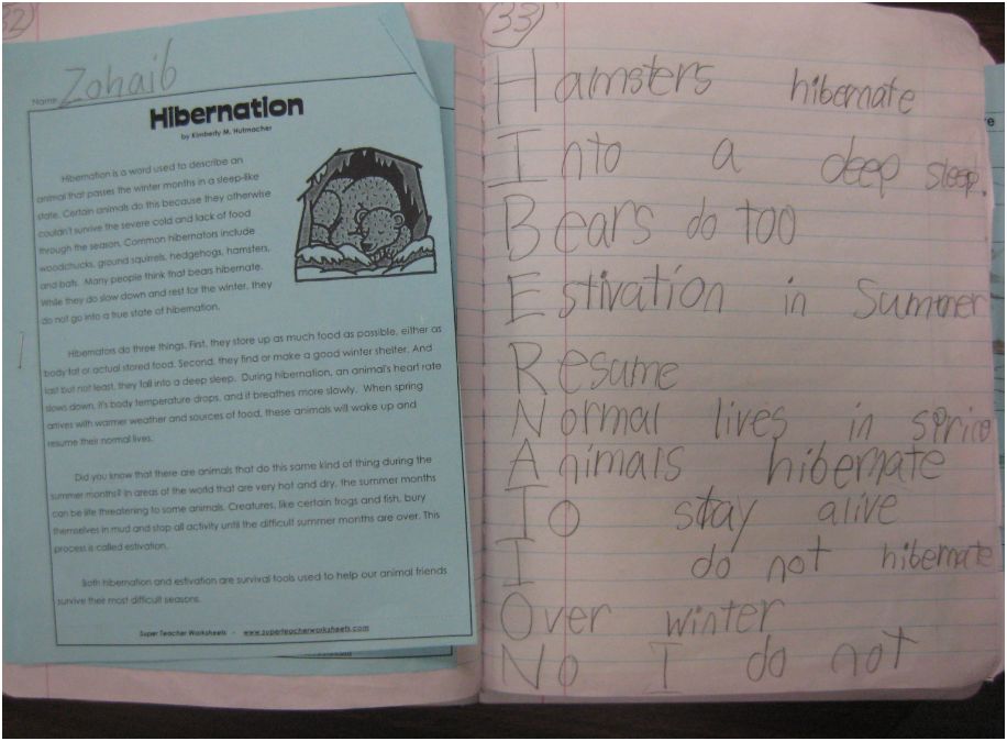 Science Notebooking: Animal Adaptations - Adrienne Teaches